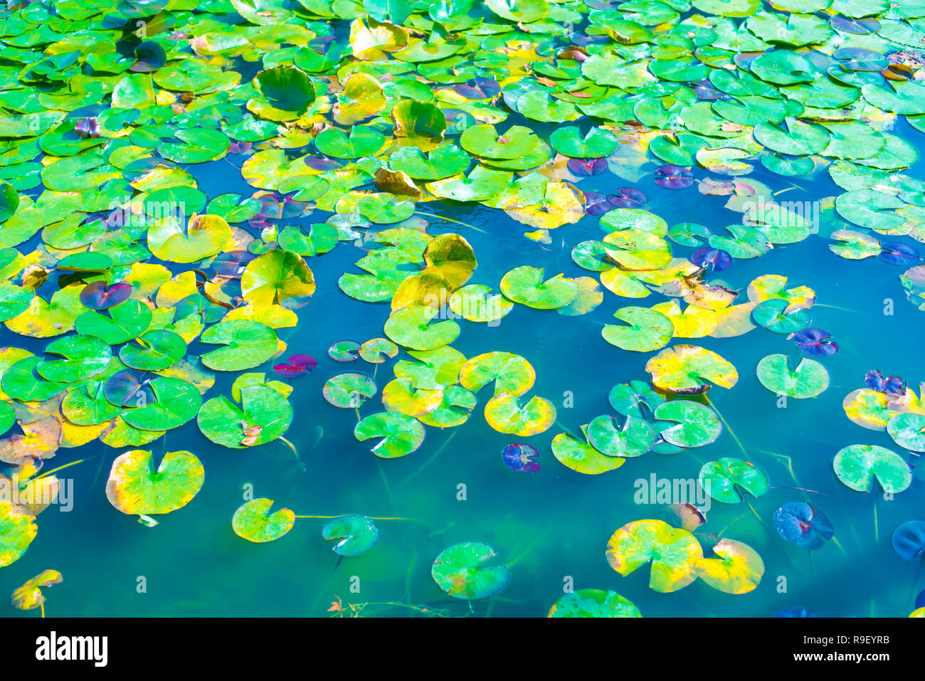 Ippuku museum in Toyama, Japan. Japan Alps is located between Nagano ...