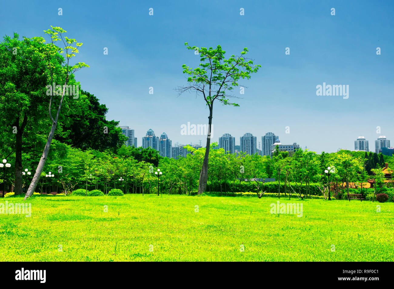 Shenzhen lizhi park hi-res stock photography and images - Alamy
