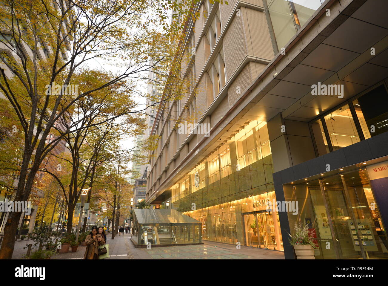Marunouchi Naka-Dori Street, tokyo, japan Stock Photo - Alamy