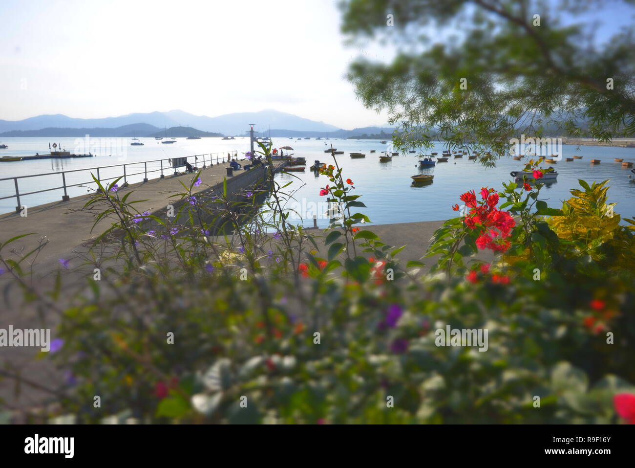 Hong kong tai po pier hi-res stock photography and images - Alamy