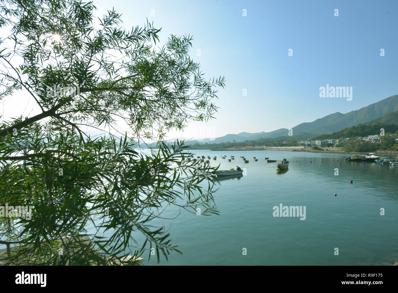 lakeside in tai mei tuk, tai po, hong kong Stock Photo - Alamy