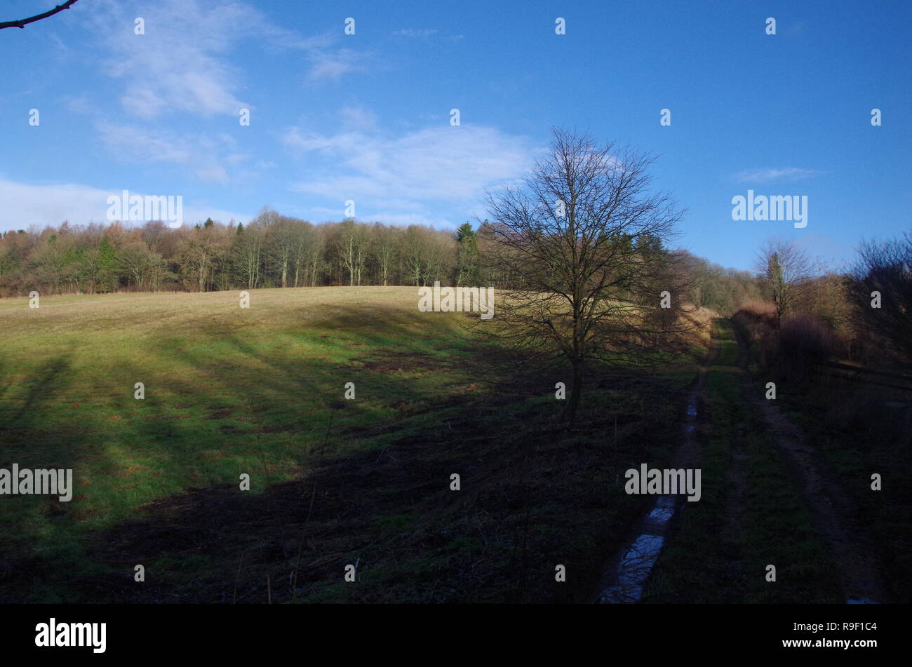 The Macmillan Way. Long-distance trail. Gloucestershire. Cotswolds ...