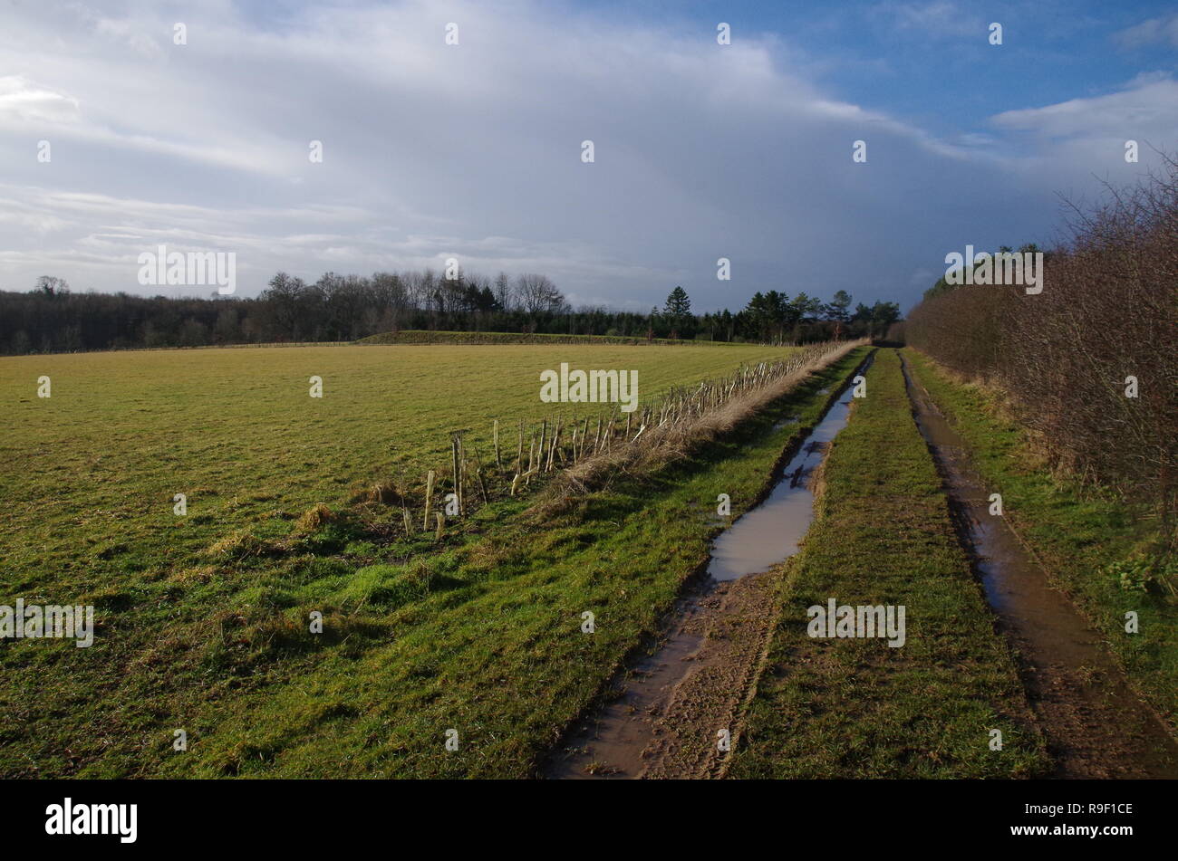 The Macmillan Way. Long-distance trail. Gloucestershire. Cotswolds ...