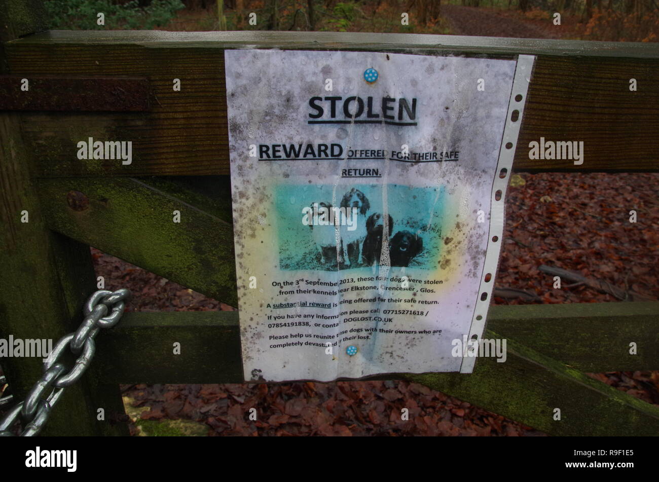 The Macmillan Way. Long-distance trail. Gloucestershire. Cotswolds ...