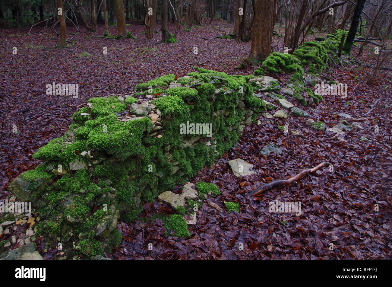 The Macmillan Way. Long-distance trail. Gloucestershire. Cotswolds ...