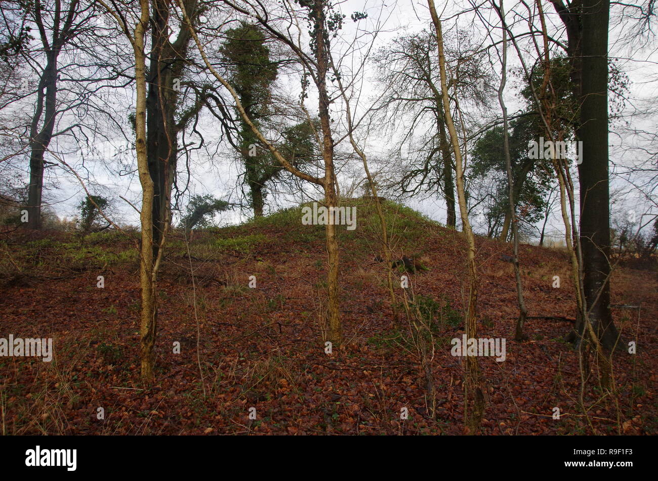 Hailey wood. Bathurst Estate. The Macmillan Way. Long-distance trail ...