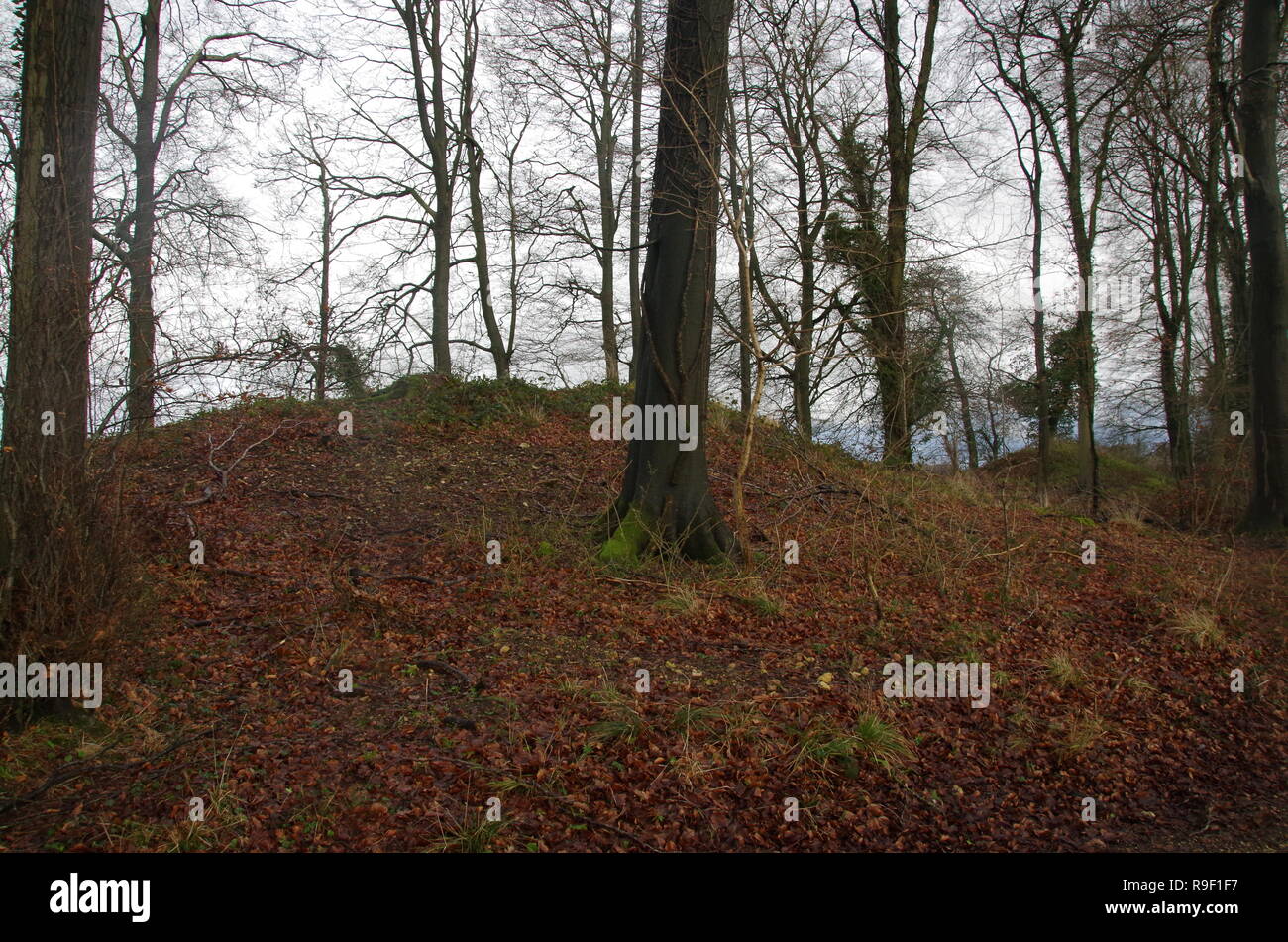 Hailey wood. Bathurst Estate. The Macmillan Way. Long-distance trail ...