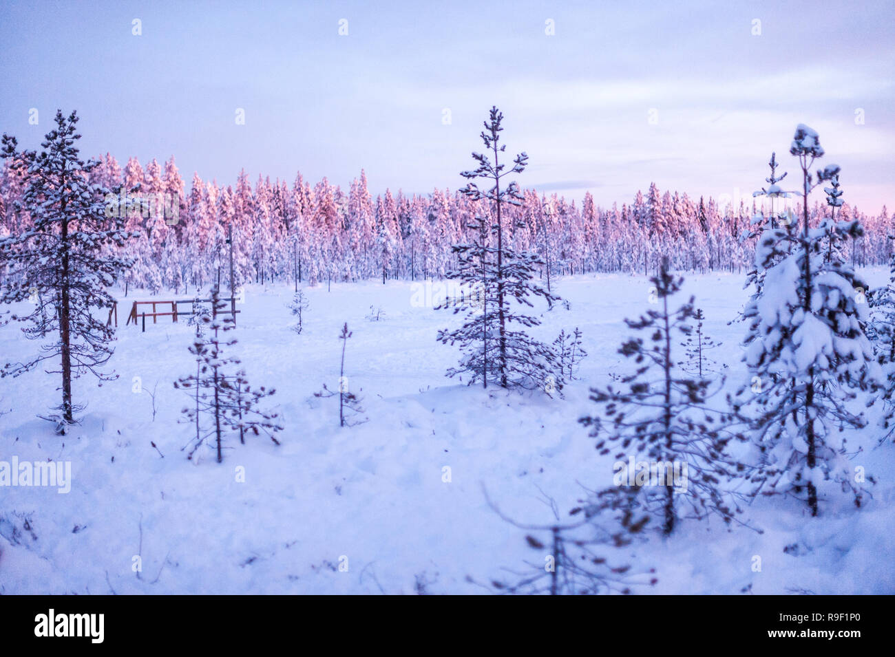 Lapland scene hi-res stock photography and images - Alamy