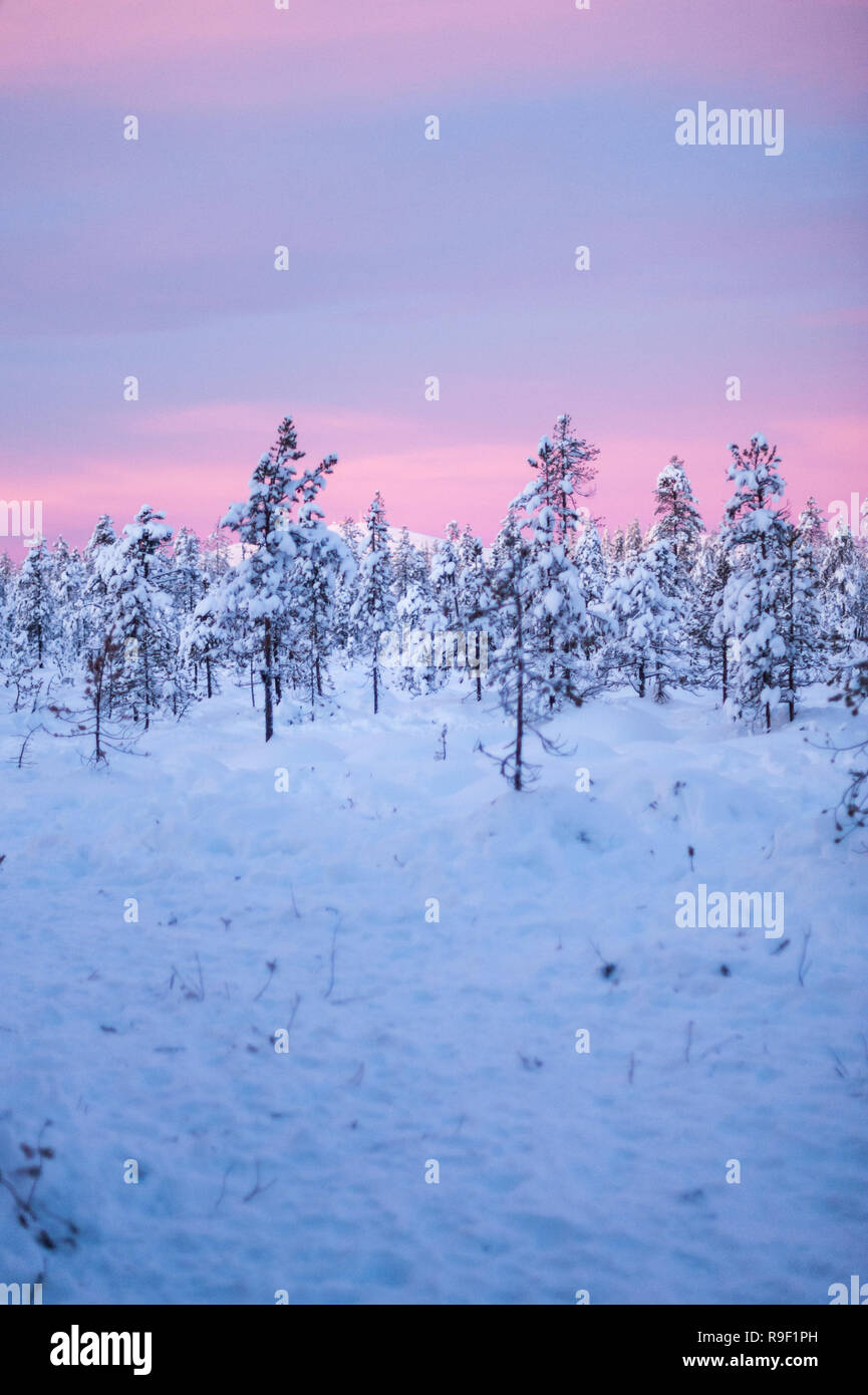 lapland winter scene Stock Photo - Alamy