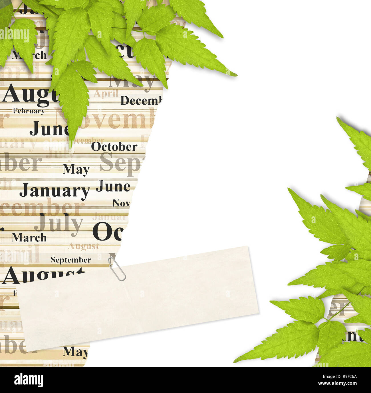Grunge background with green leaves and names of months Stock Photo - Alamy
