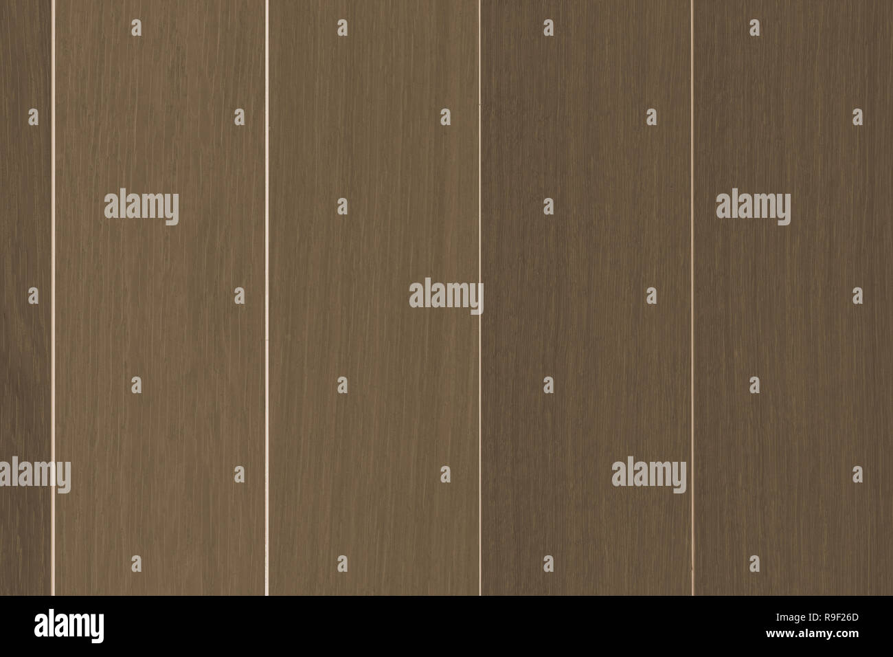 dark brown walnut timber tree wooden surface structure texture ...