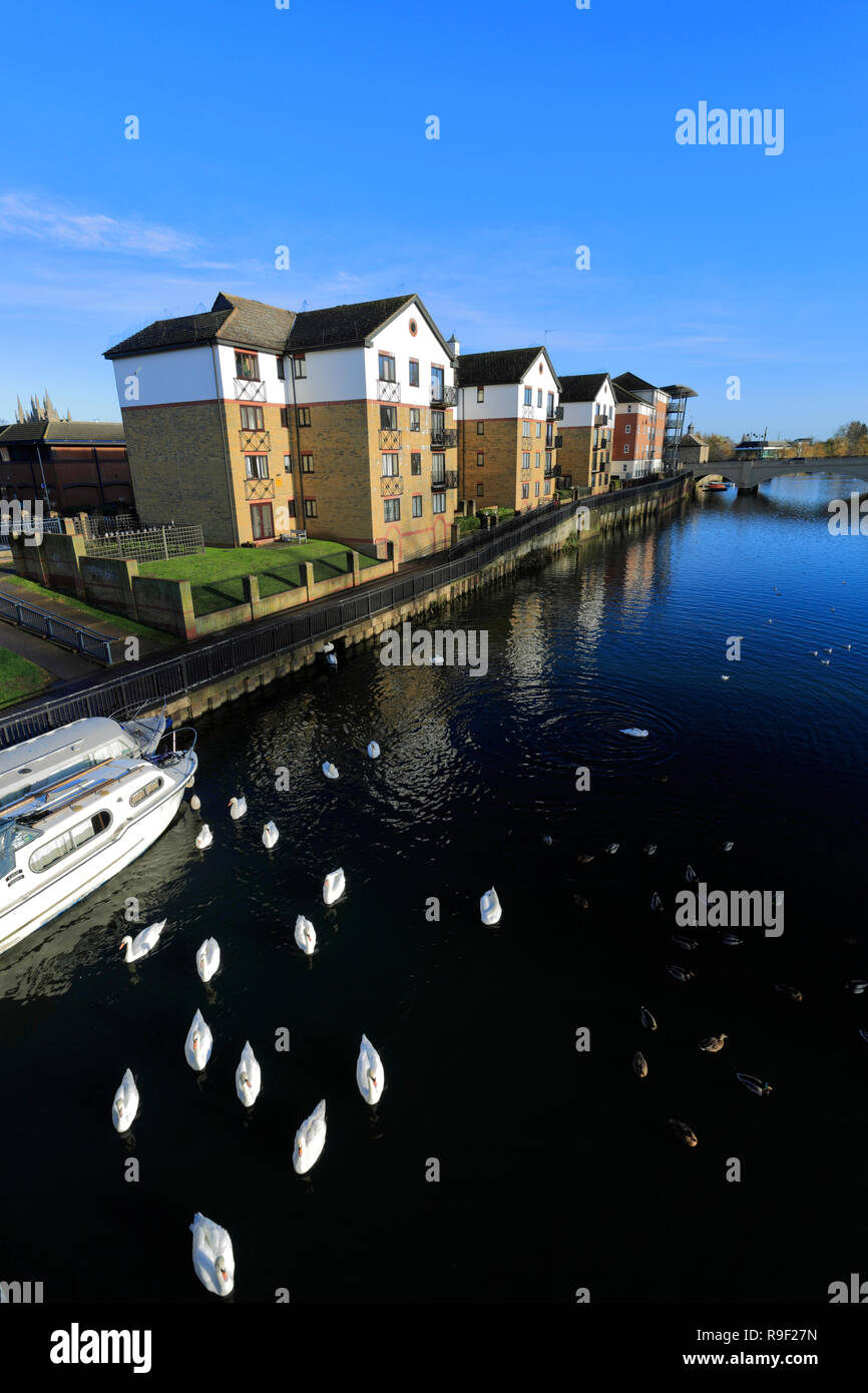 Residential flats, river Nene embankment, Peterborough City ...