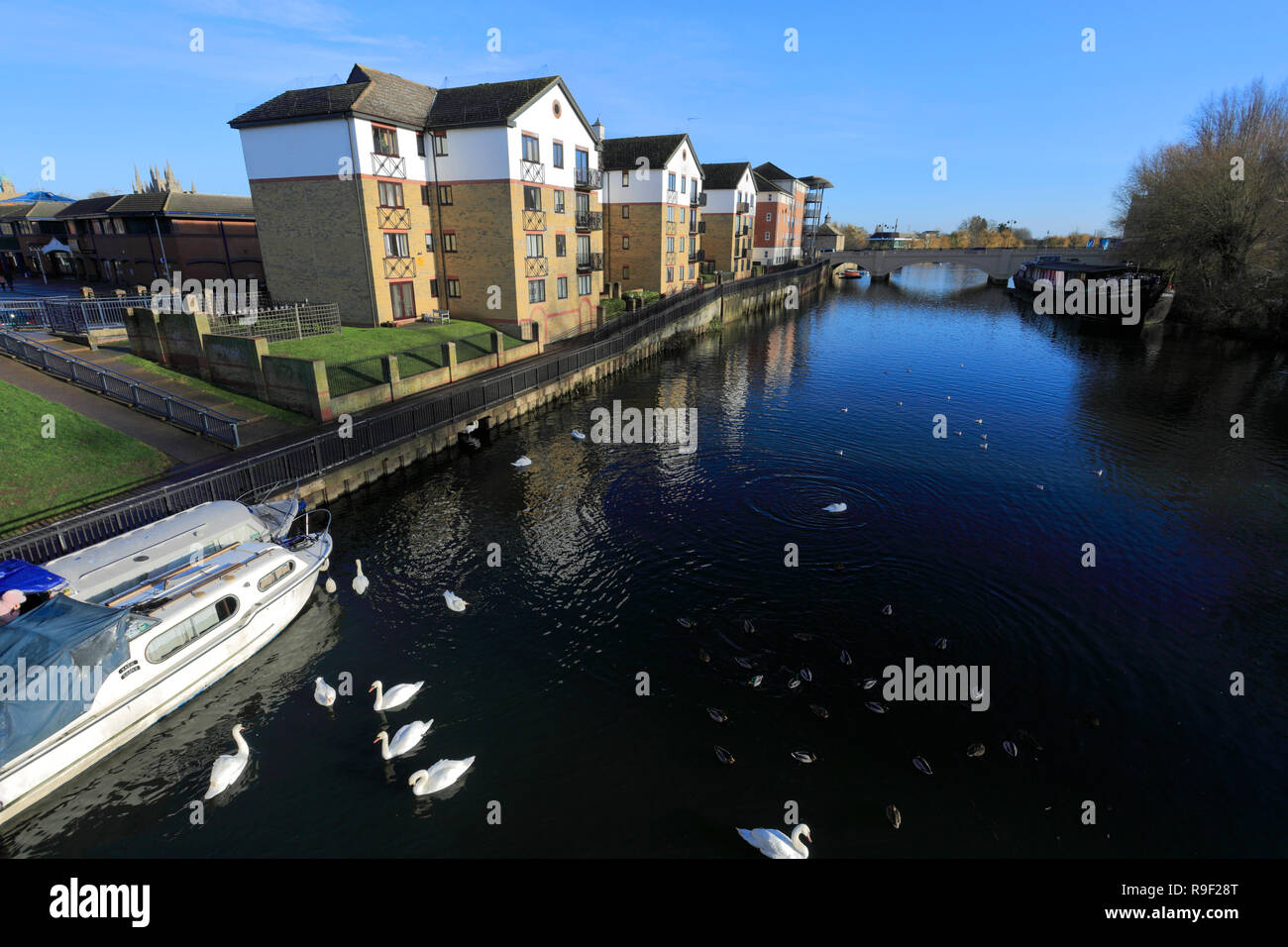 Residential flats, river Nene embankment, Peterborough City ...