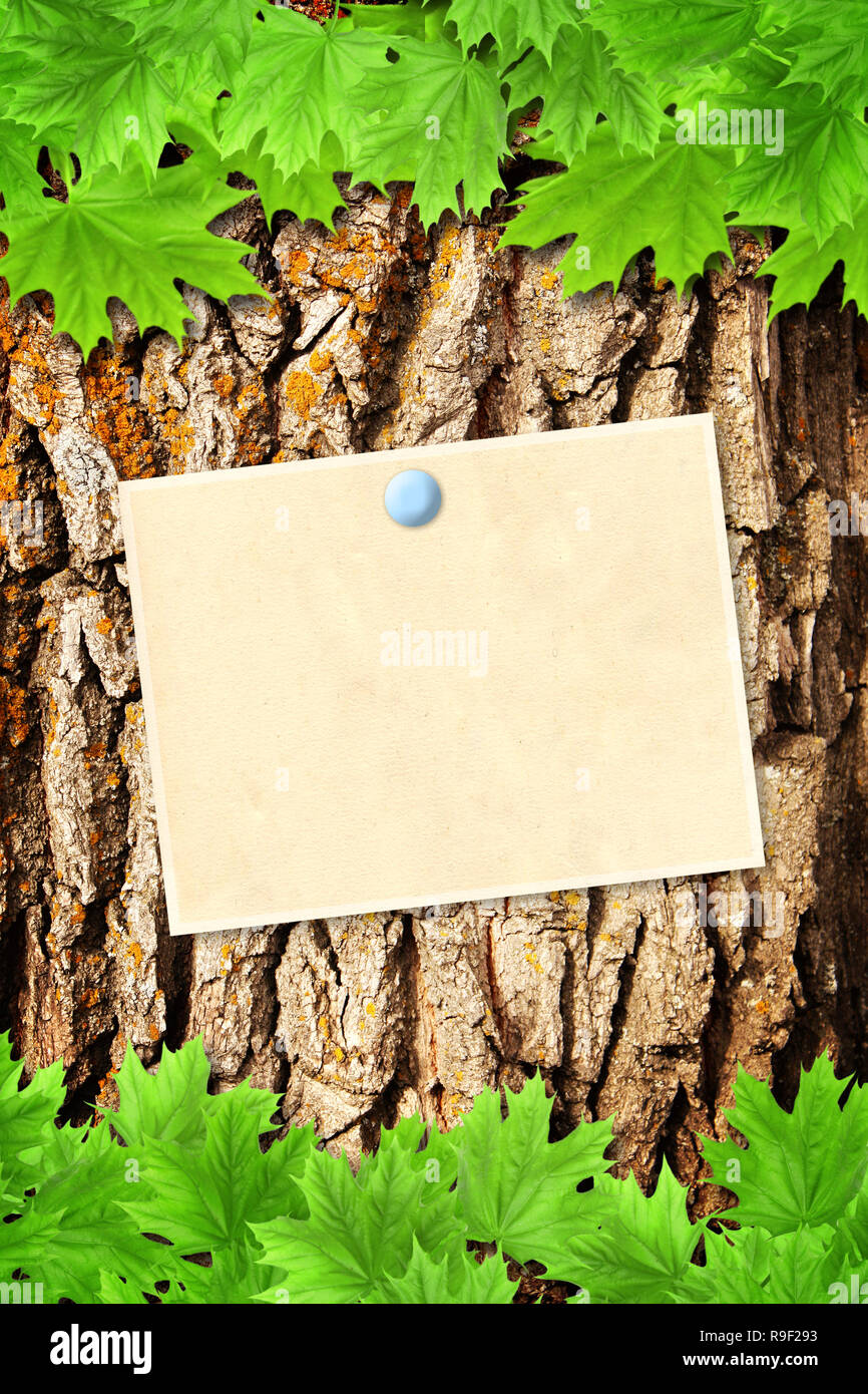 Background with bark and green maple leaves Stock Photo - Alamy