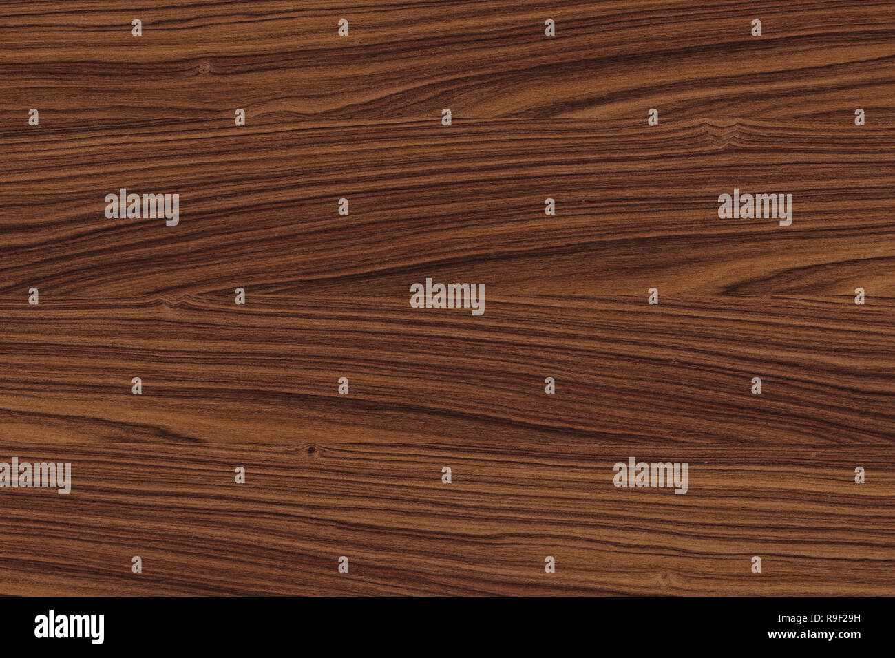 dark brown walnut timber tree wooden surface structure texture ...