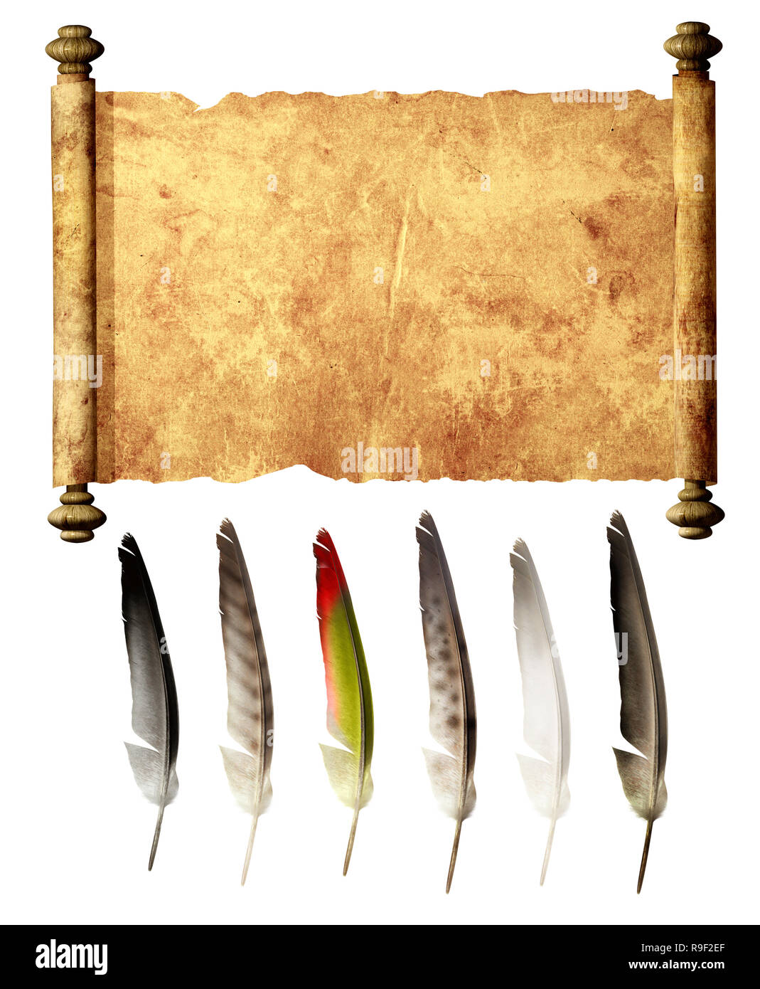 Old parchment and collection of feathers. Isolated over white Stock ...