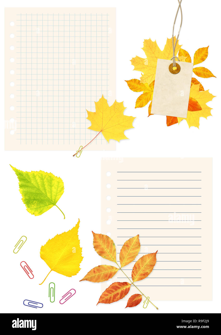 Labes hi-res stock photography and images - Alamy