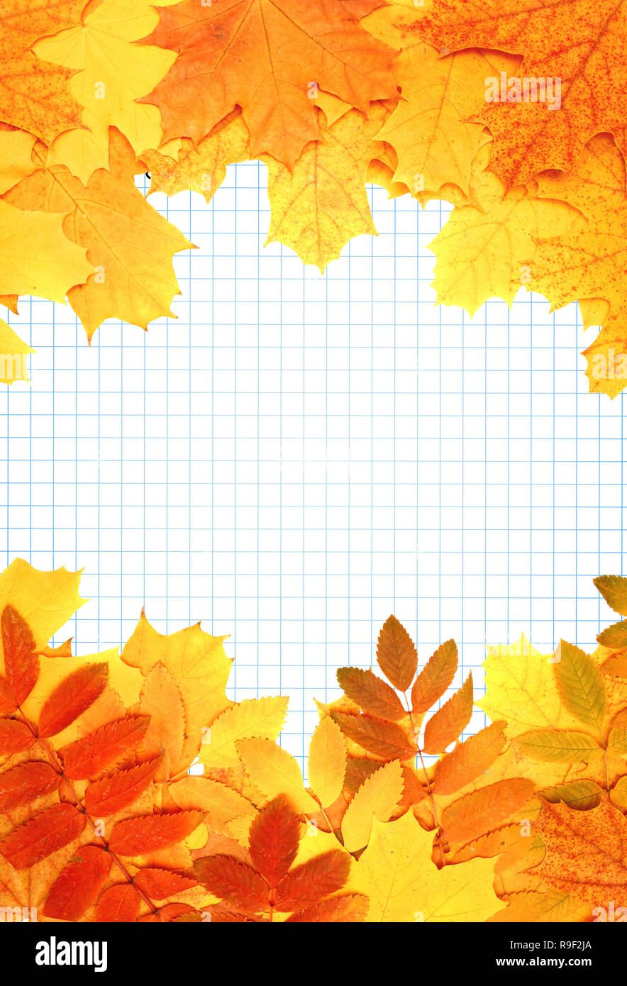 Notebook pages autumn leaves. Vertical background Stock Photo - Alamy
