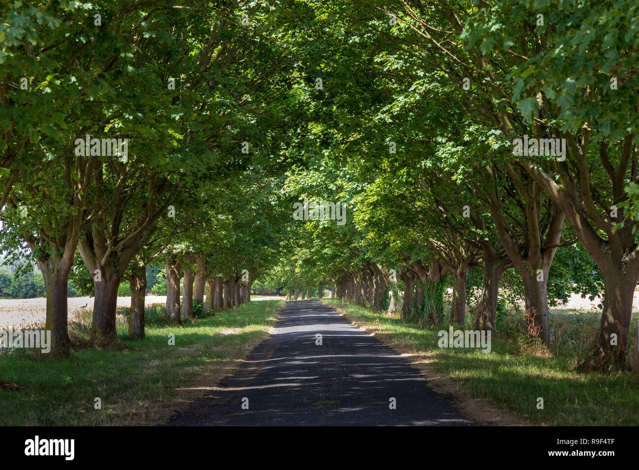 Cottenham, Cambridgeshire , UK Stock Photo - Alamy