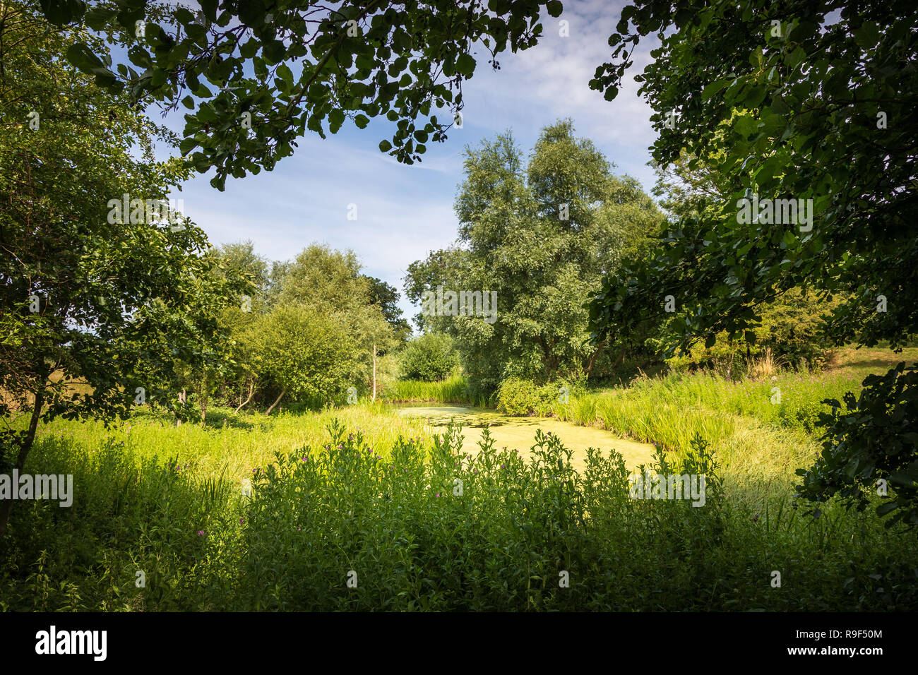 Rampton High Resolution Stock Photography and Images - Alamy