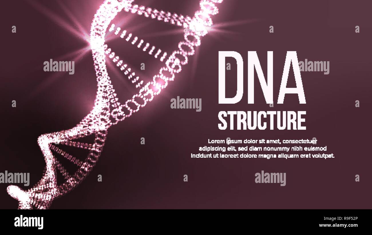 Dna Structure Vector. Digital Cell. Healthy Chromosome. Evolution ...