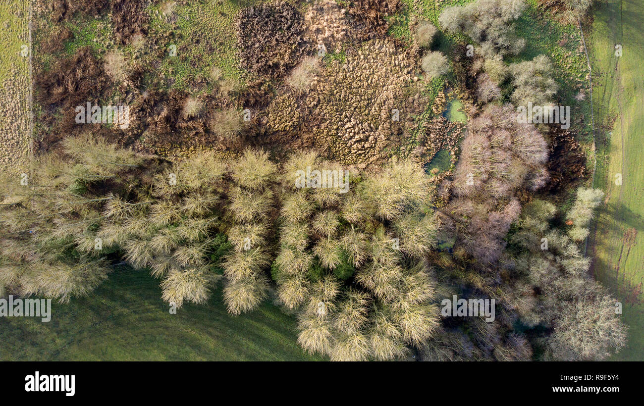Aerial woodland uk hi-res stock photography and images - Alamy