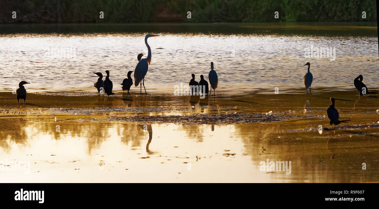 Ranch water hi-res stock photography and images - Alamy