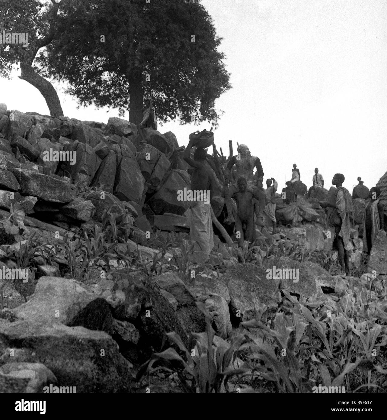 Tribes of cameroon hi-res stock photography and images - Alamy