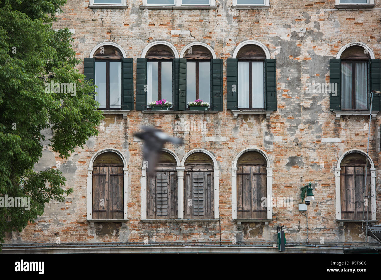 Venice typical windows and architecture Stock Photo - Alamy