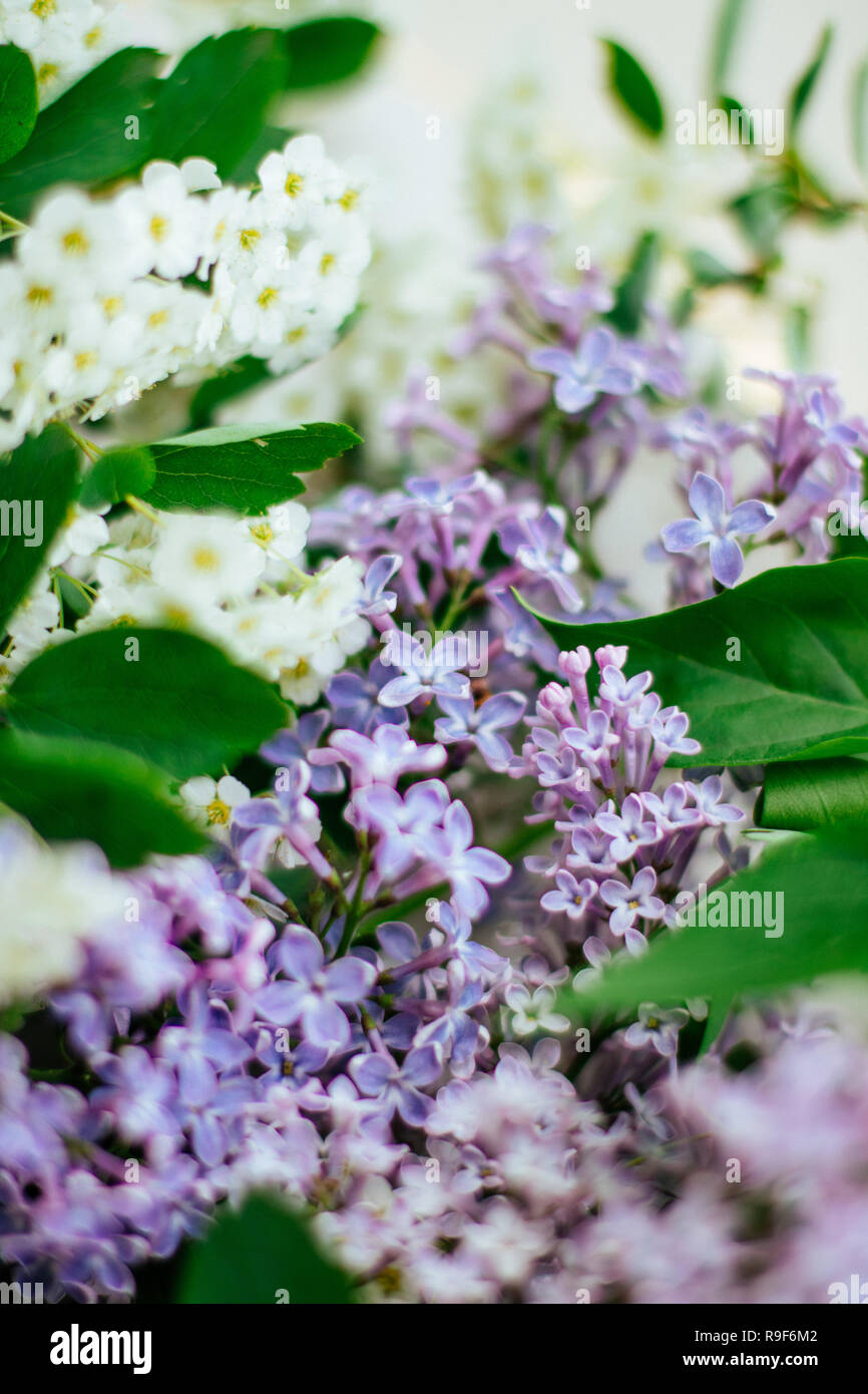 floral blossom - wedding, holiday and flower garden styled concept ...