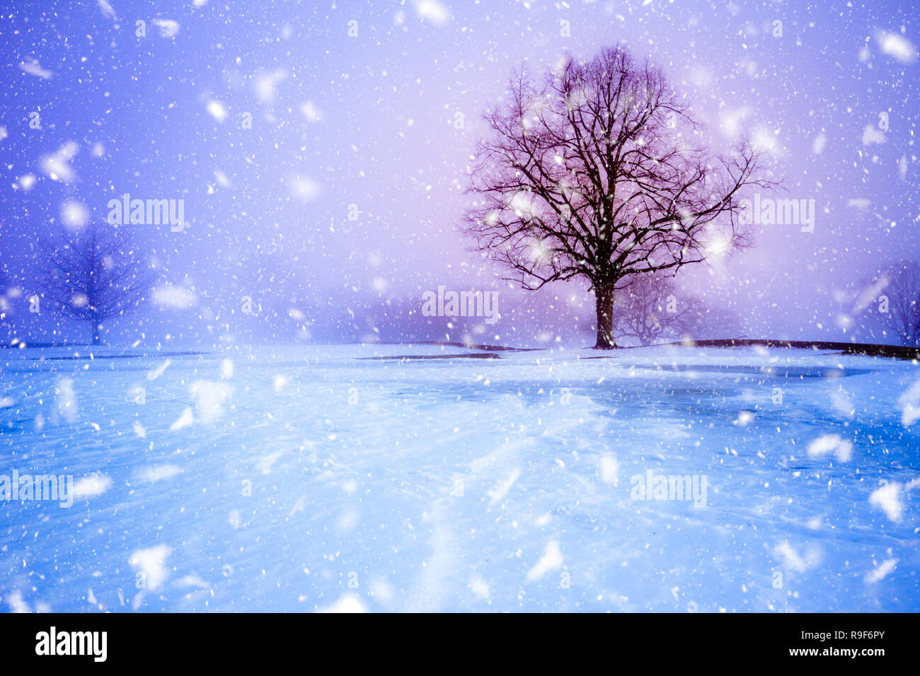 Beautiful Snowflakes Falling