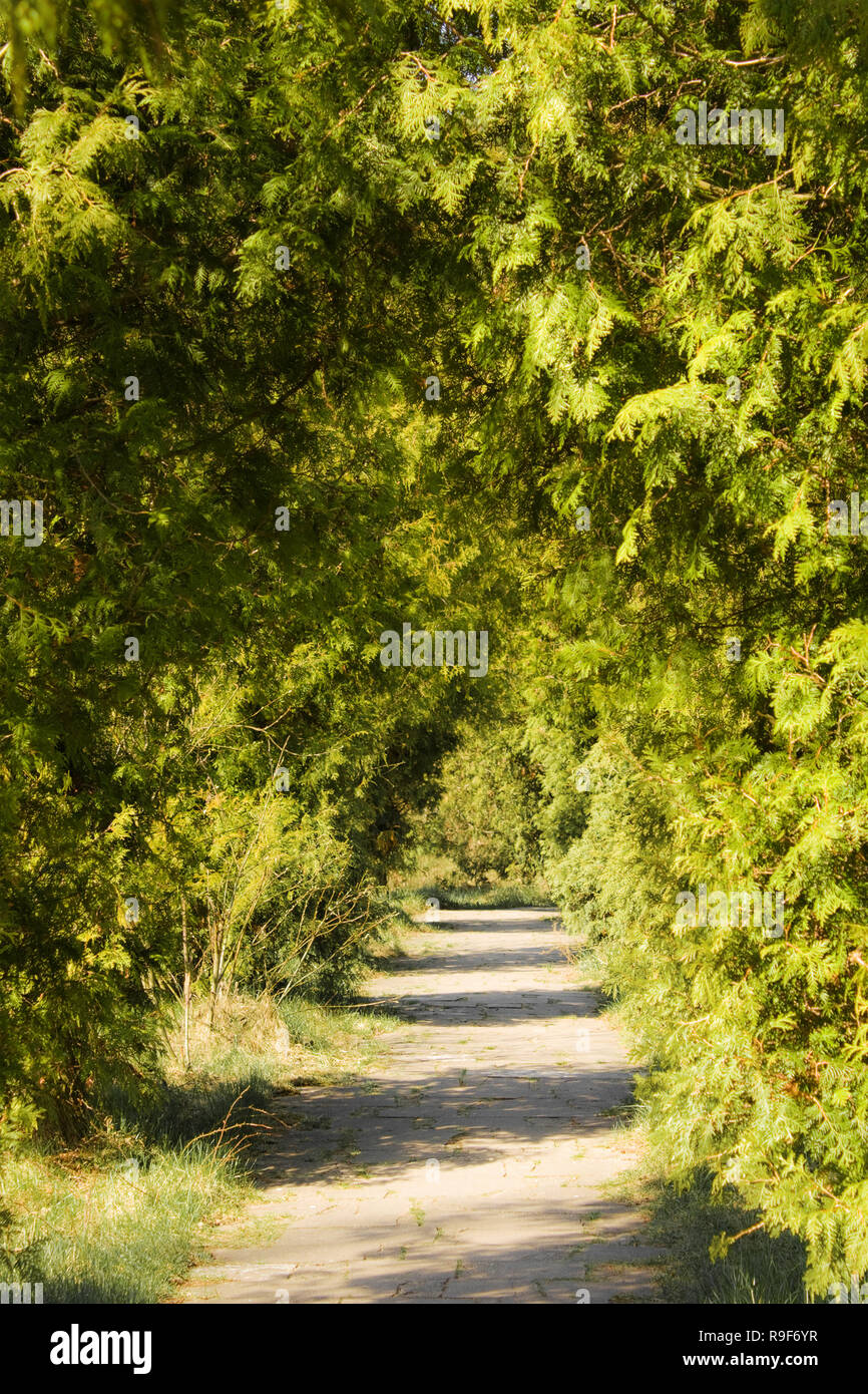 spring landscape scenery - beauty in nature, landscapes and environment ...