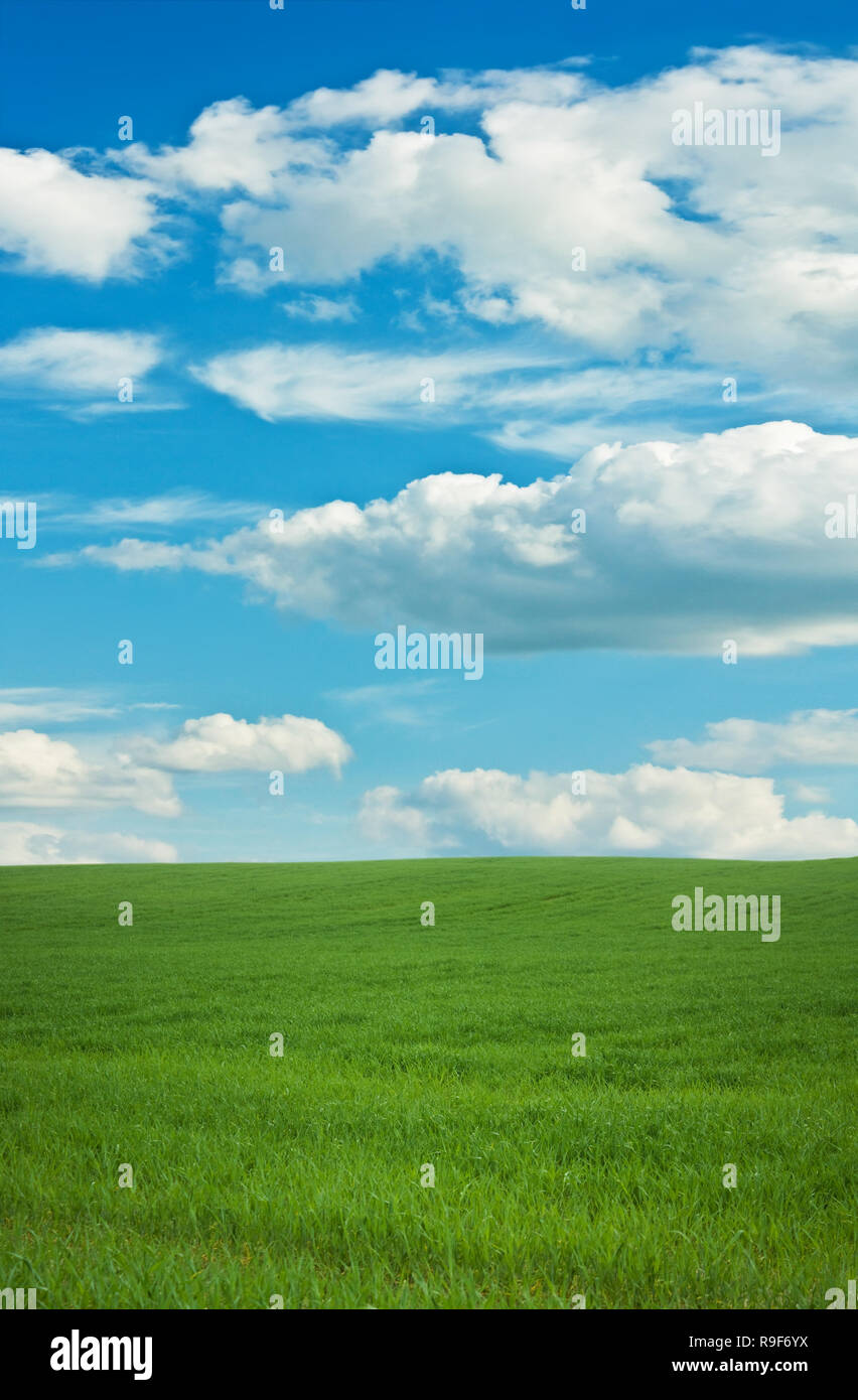 spring landscape scenery - beauty in nature, landscapes and environment ...