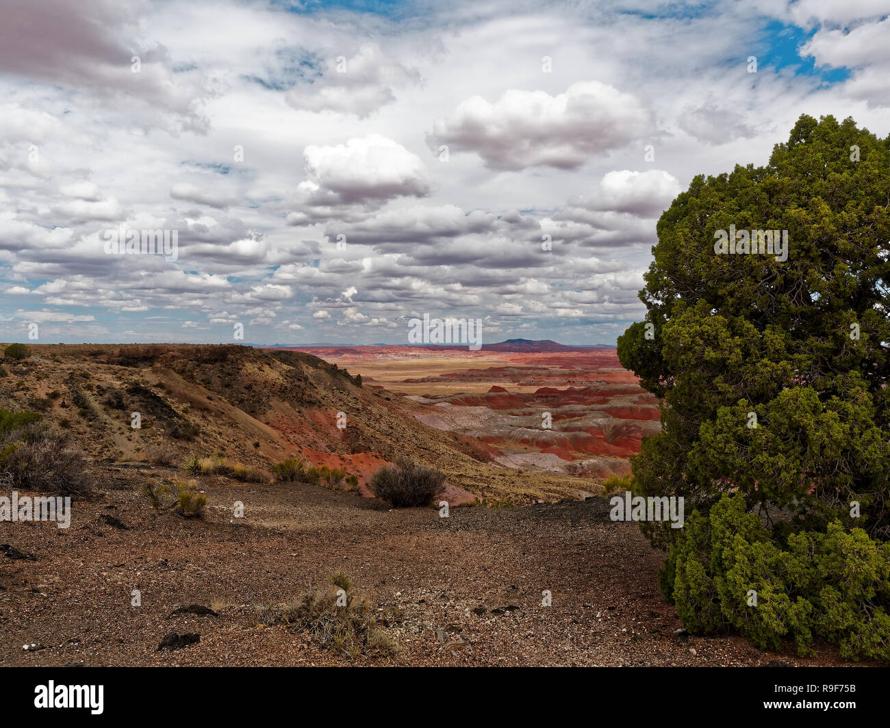 Painted Dessert Arizona Stock Photo - Alamy