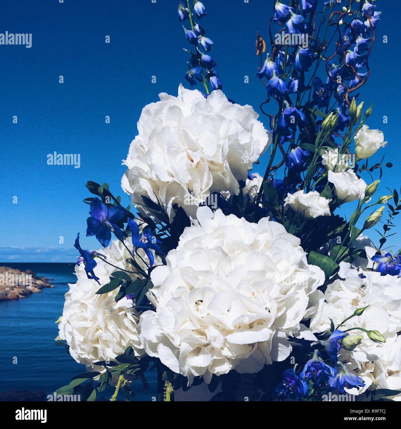 floral blossom - wedding, holiday and flower garden styled concept ...