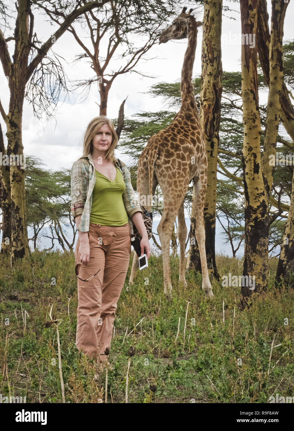 Giraffe in the wild. An animal with a long neck. Wild world of the ...