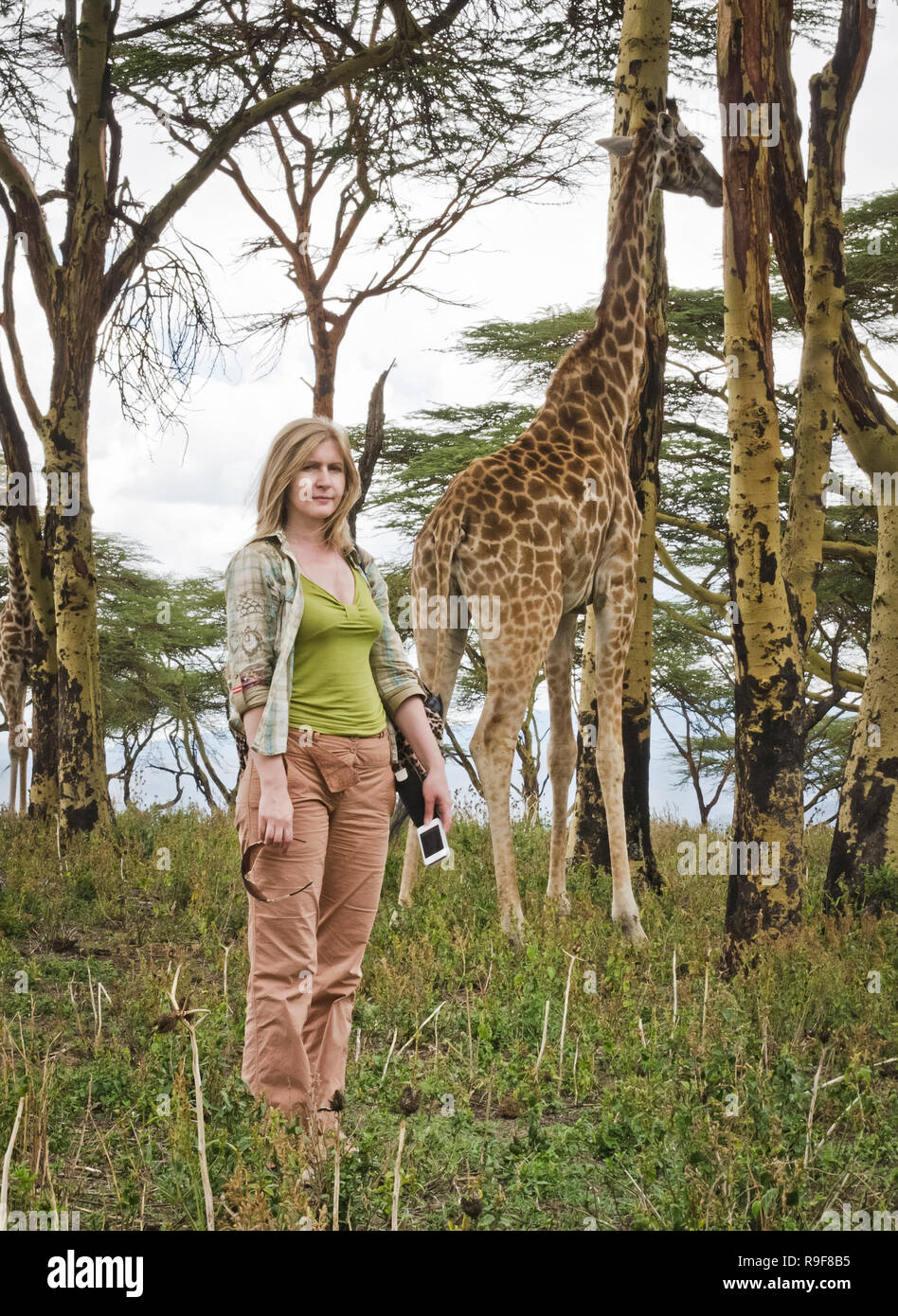 Giraffe in the wild. An animal with a long neck. Wild world of the ...