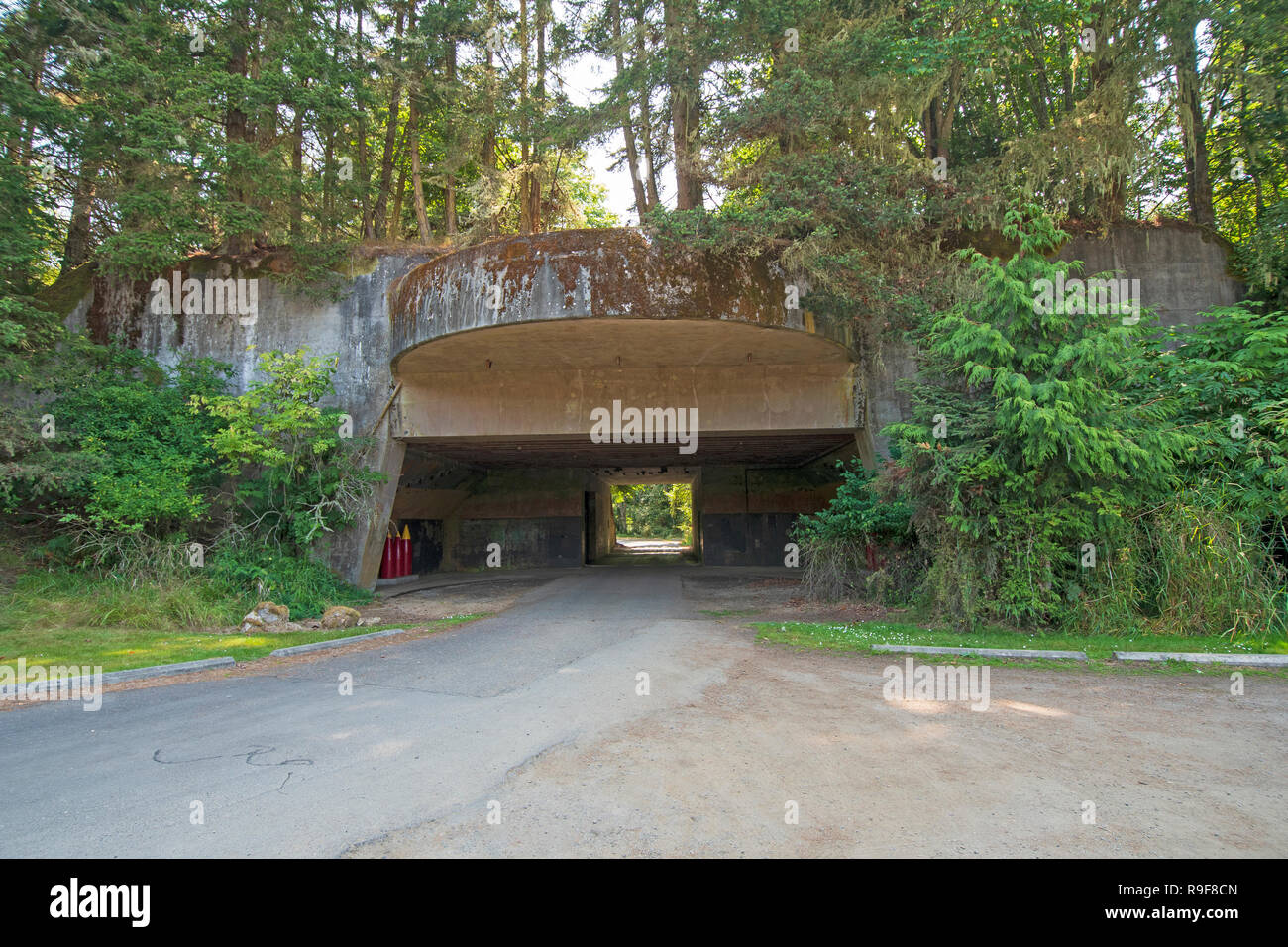 16 inch Gun Casemate in a coastal Forest at Cape Hayden on the coast of ...