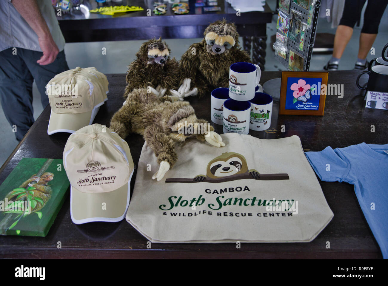 Gamboa, Panama, Sloth, Sanctuary with souvenir shop Stock Photo - Alamy