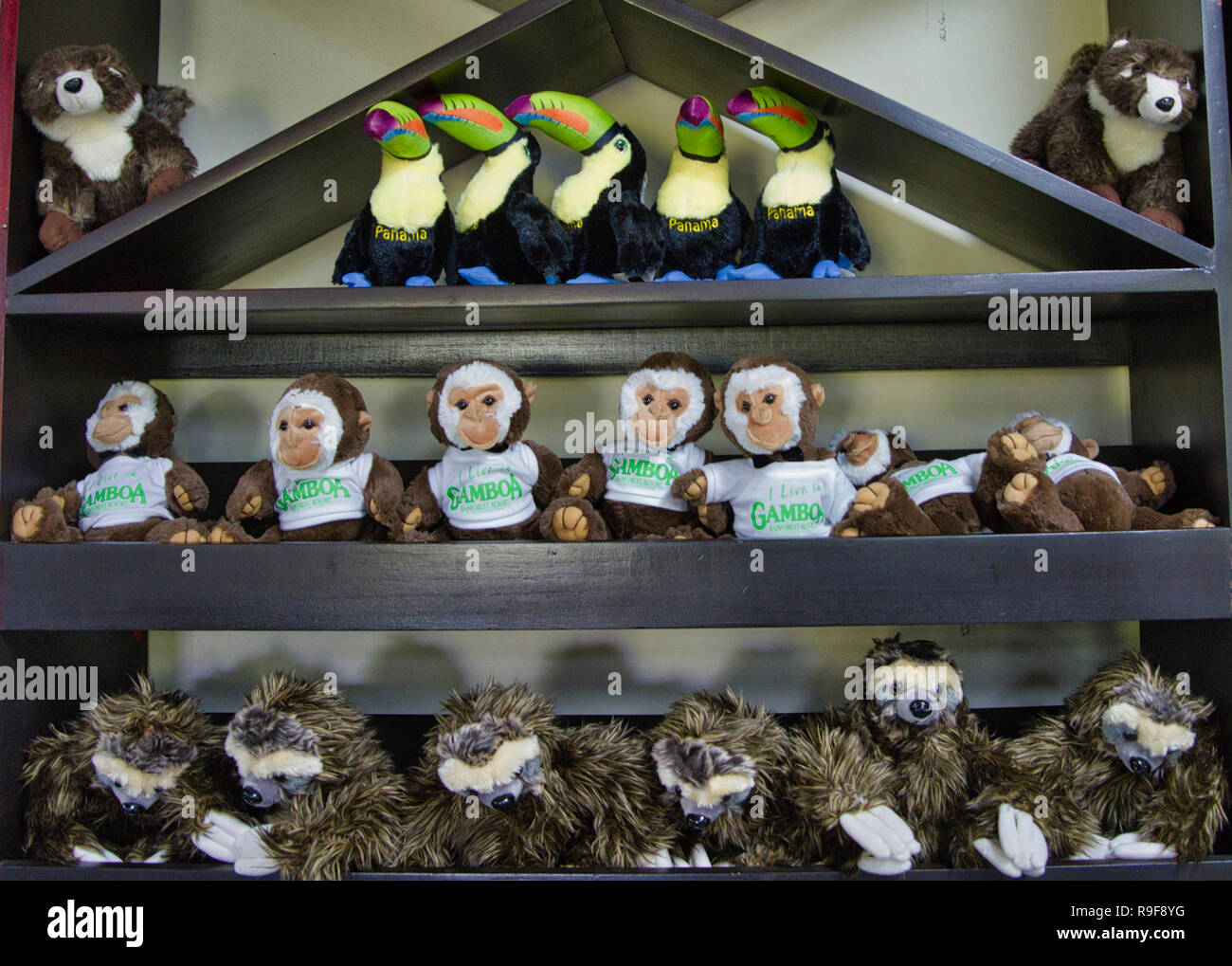 Gamboa, Panama, Sloth, Sanctuary with souvenir shop Stock Photo - Alamy