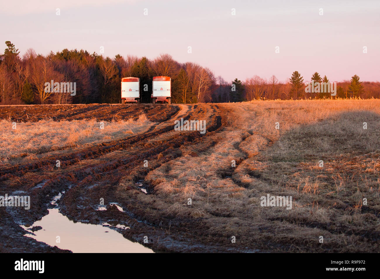 Two chopper boxes in a wet farmers field in springtime Stock Photo - Alamy