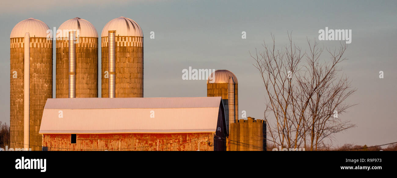 Three large and one small silo next to a barn Stock Photo - Alamy