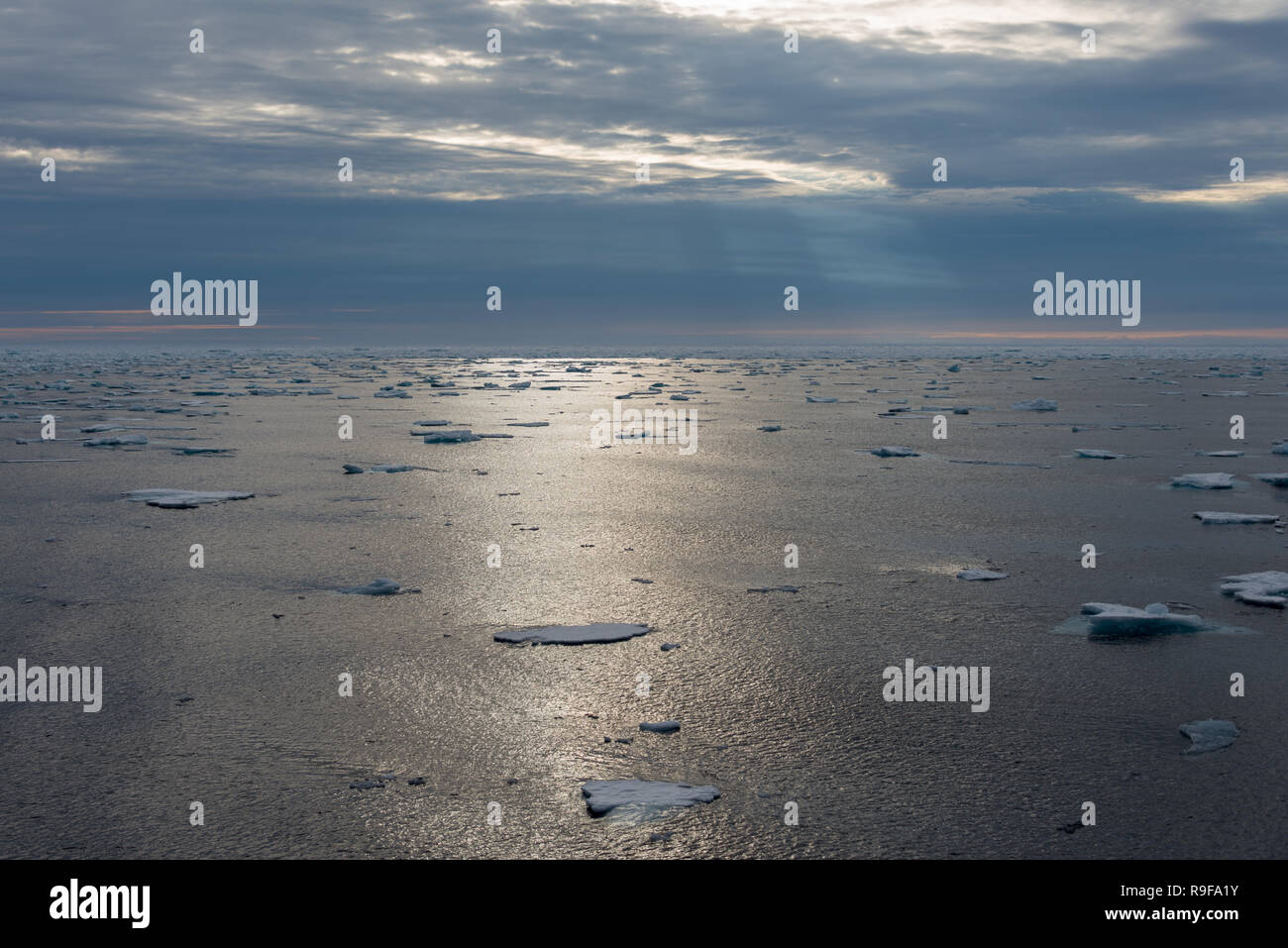 Arctic landscape - sea surface with ice floe Stock Photo - Alamy
