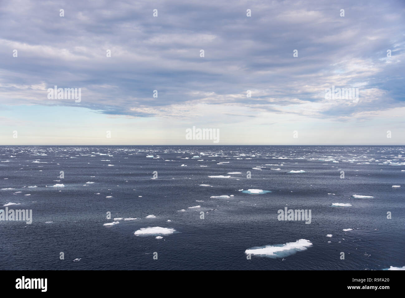 Arctic landscape - sea surface with ice floe Stock Photo - Alamy