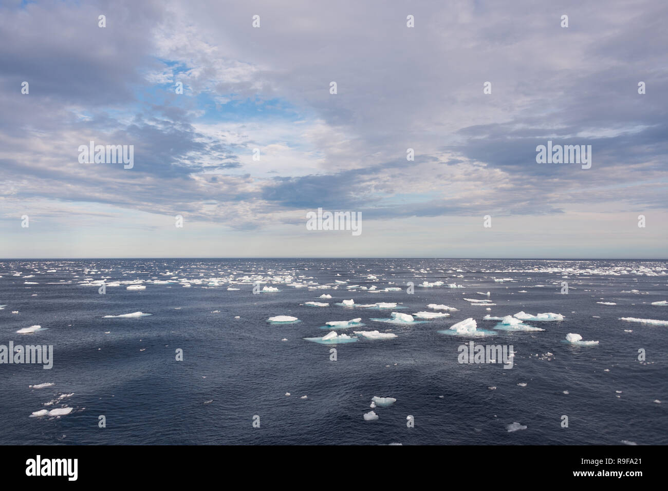 Arctic landscape - sea surface with ice floe Stock Photo - Alamy
