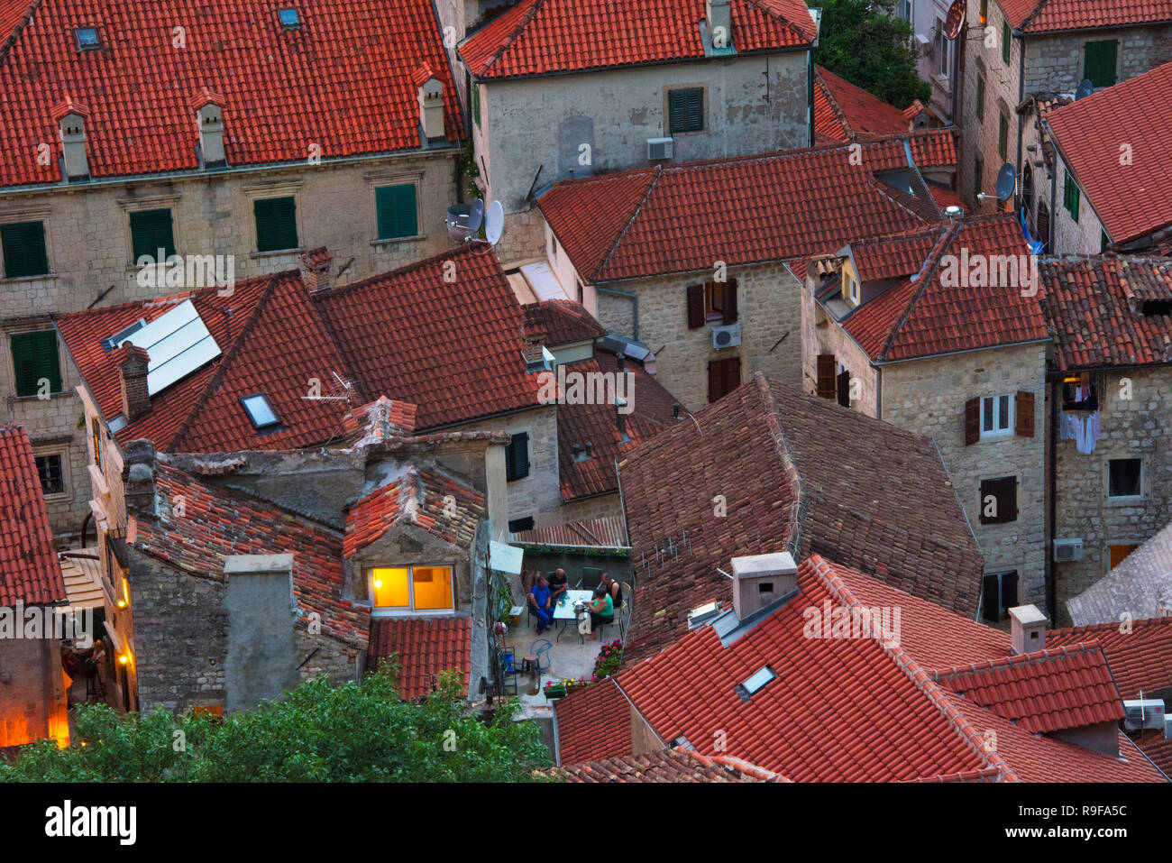 Montenegro Tall People