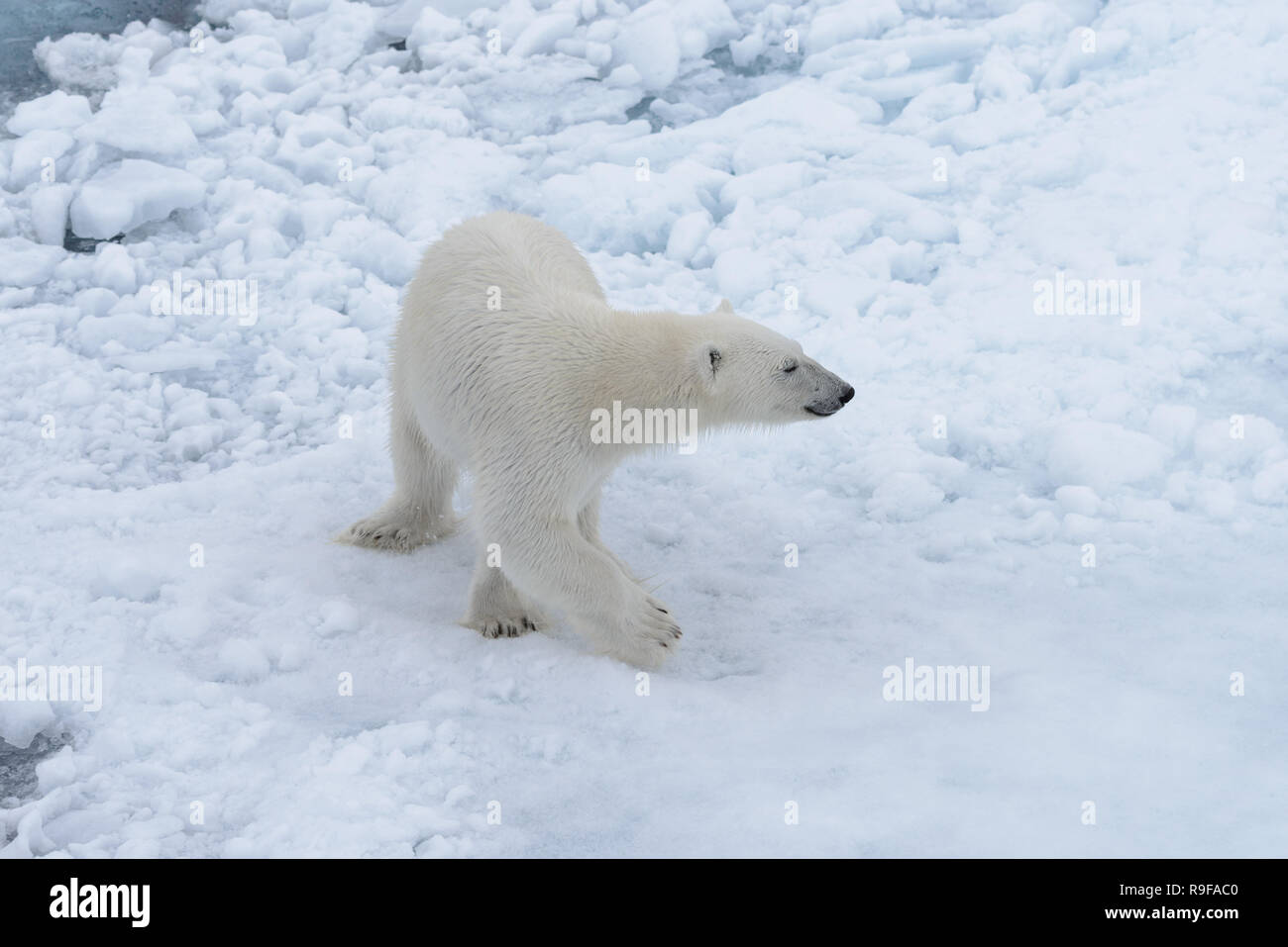 Melting ice 4k hi-res stock photography and images - Alamy