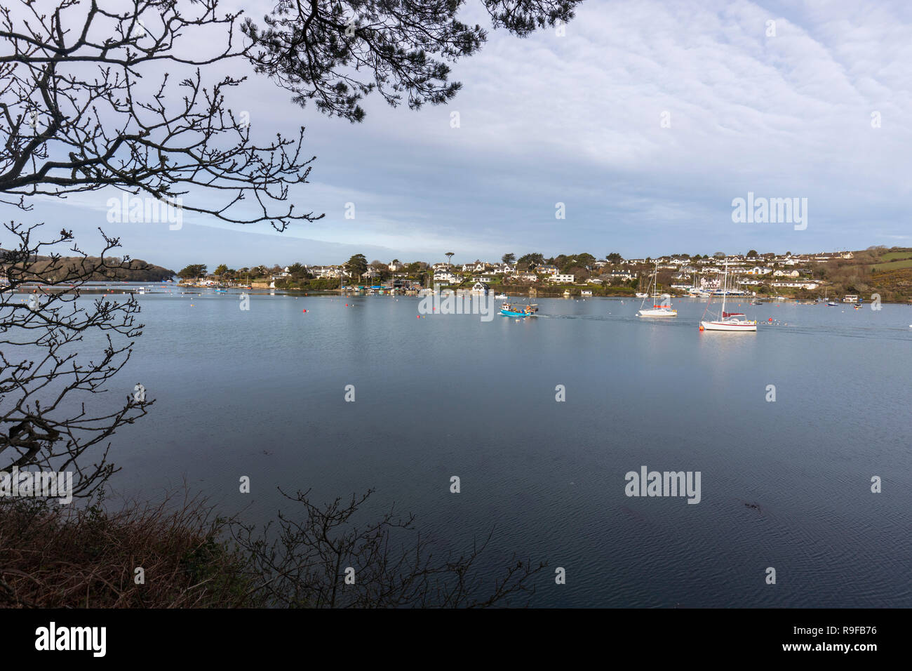 Percuil River; Looking to St Mawes; Cornwall; UK Stock Photo - Alamy