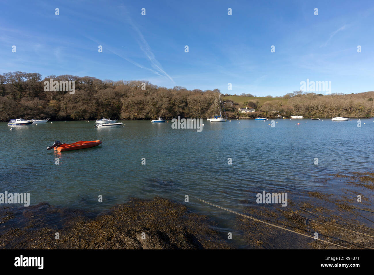 Percuil River; Roseland; Cornwall; UK Stock Photo - Alamy