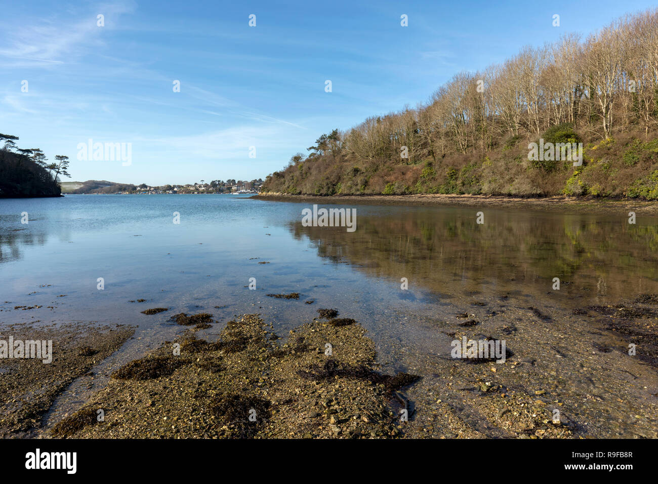 Pelyn Creek; Percuil River; Roseland; Cornwall; UK Stock Photo - Alamy